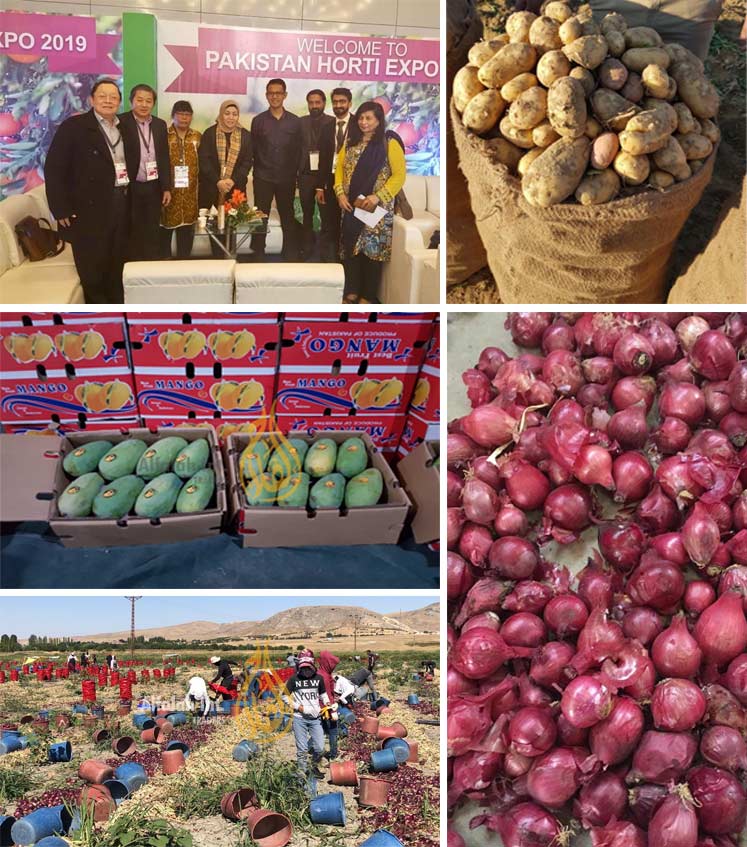 About Us | Interlink AZ Group